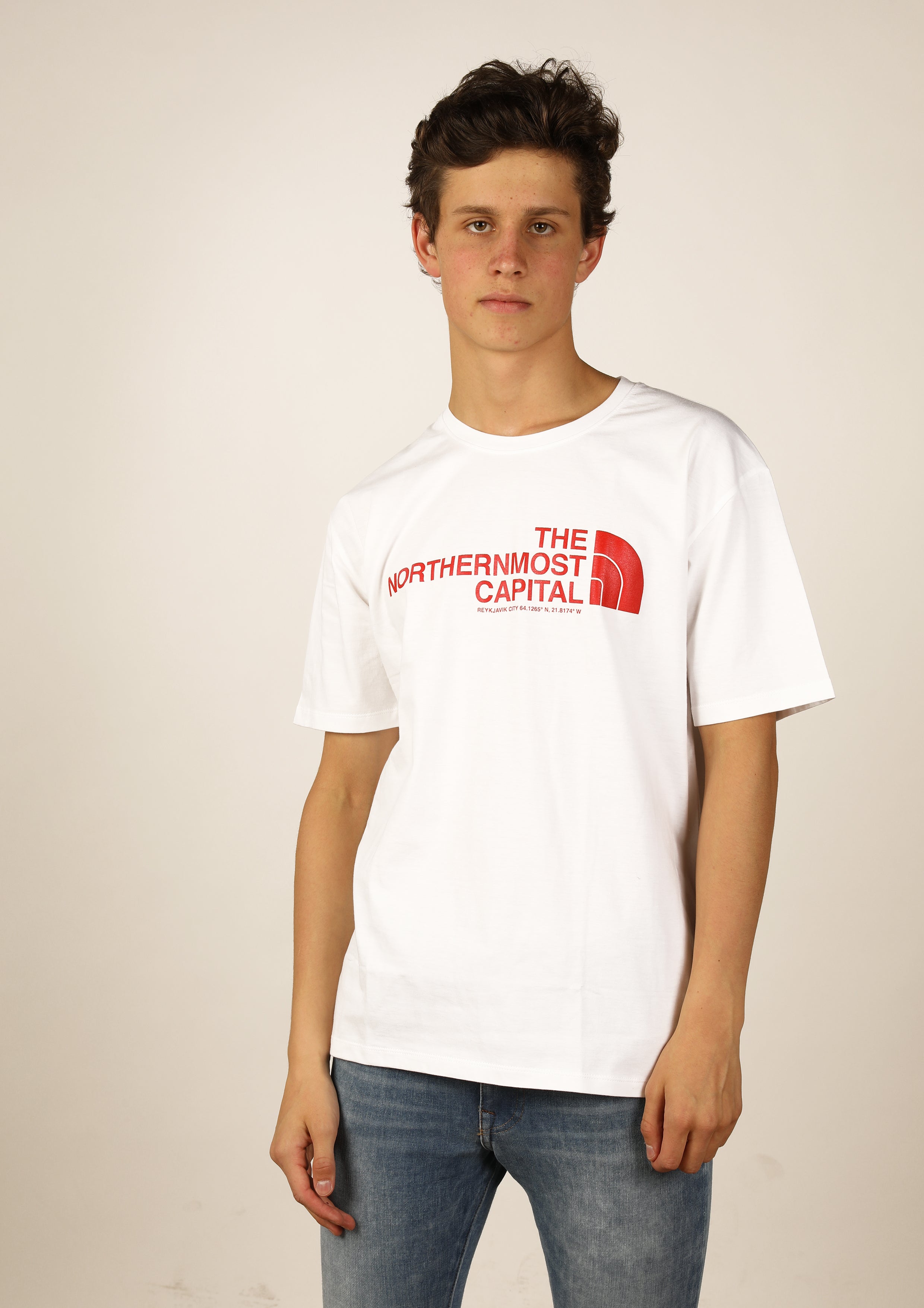 Men's t-shirt Iceland Northern – Nordicstore.net